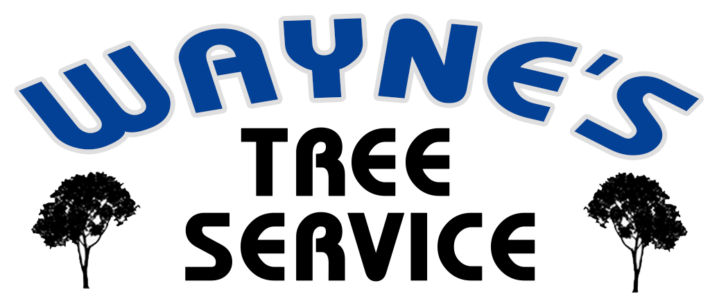 Jacksonville Tree Removal, Trimming, Stump Grinding | Wayne's